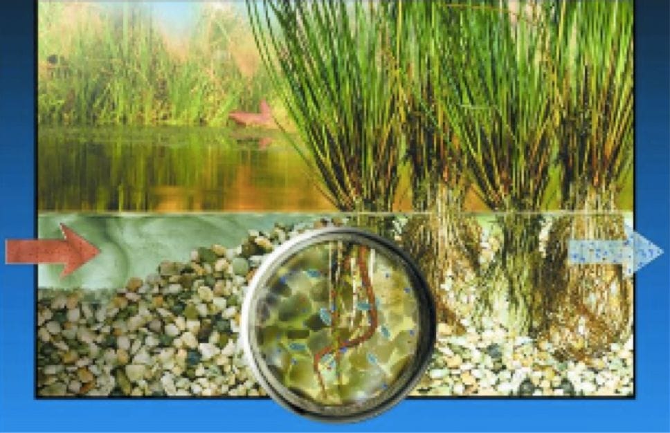 Diseño y cálculo de un humedal construido - Bioconstrucción Futura